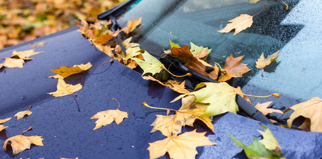 10 fall vehicle maintenance tips - HUB Customer Central